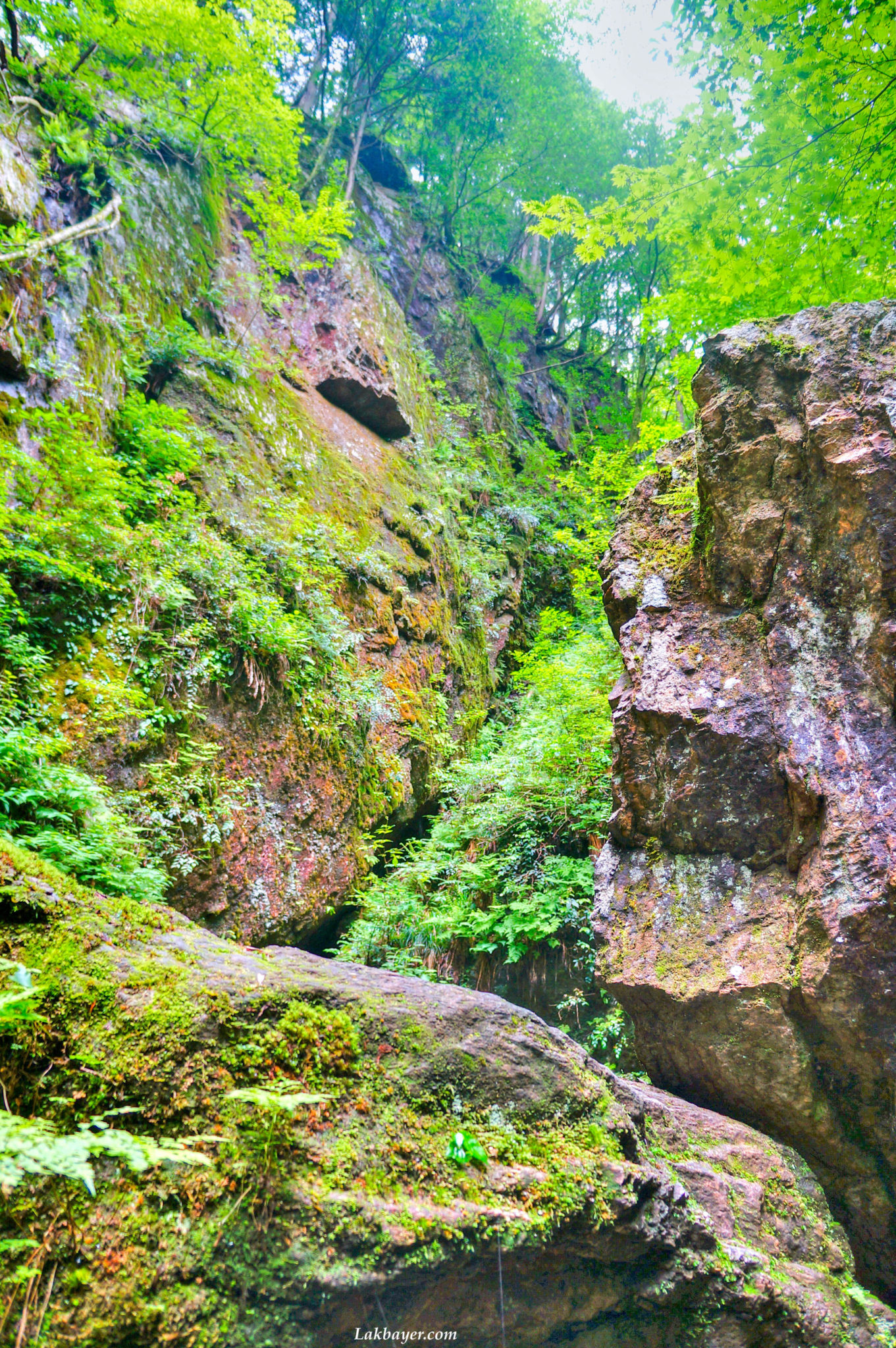 Mt. Mitake 御岳山, unspoiled nature near the city – Lakbayer