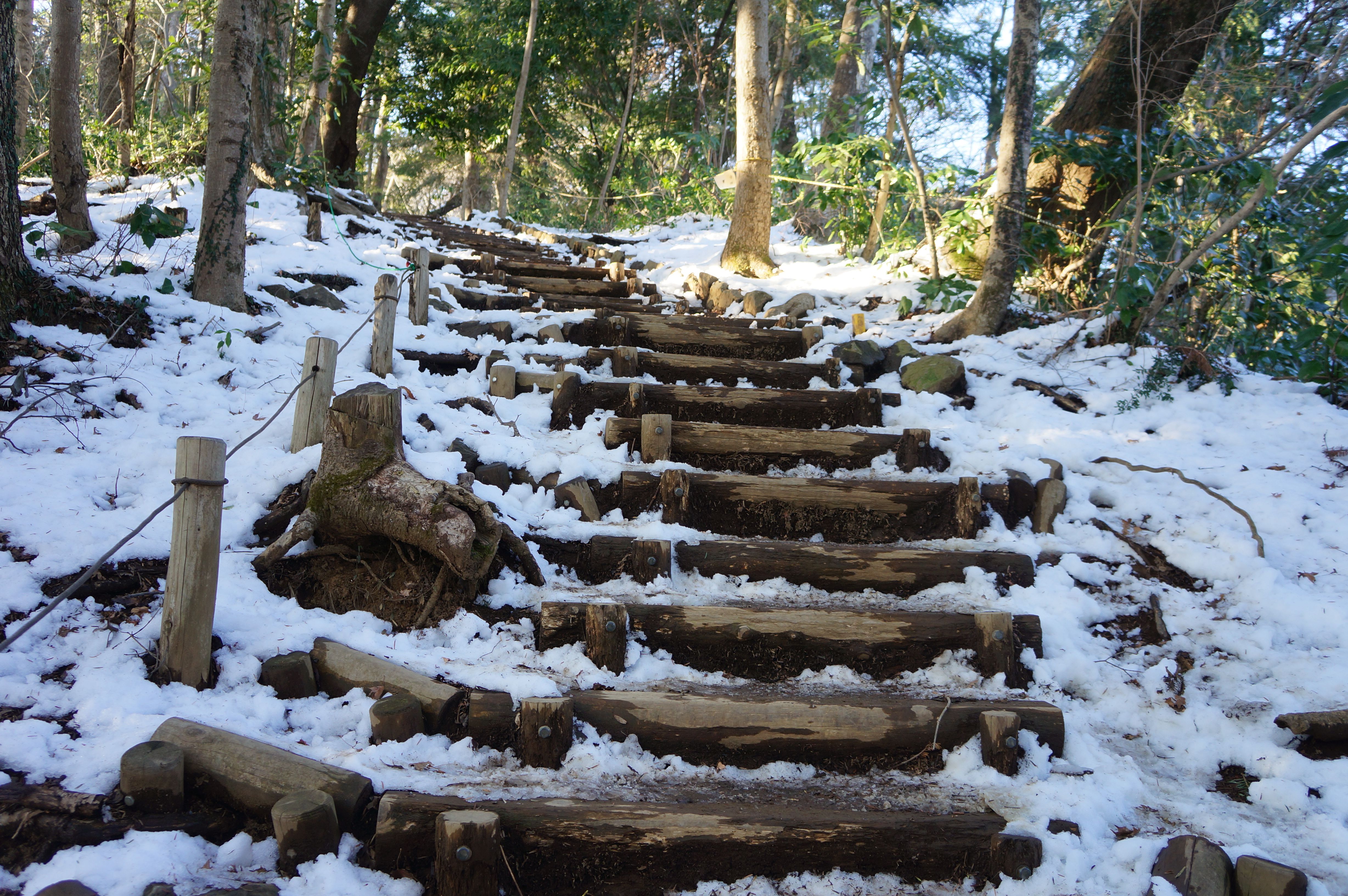 Takao-san 高尾山 Winter Hike | Lakbayer
