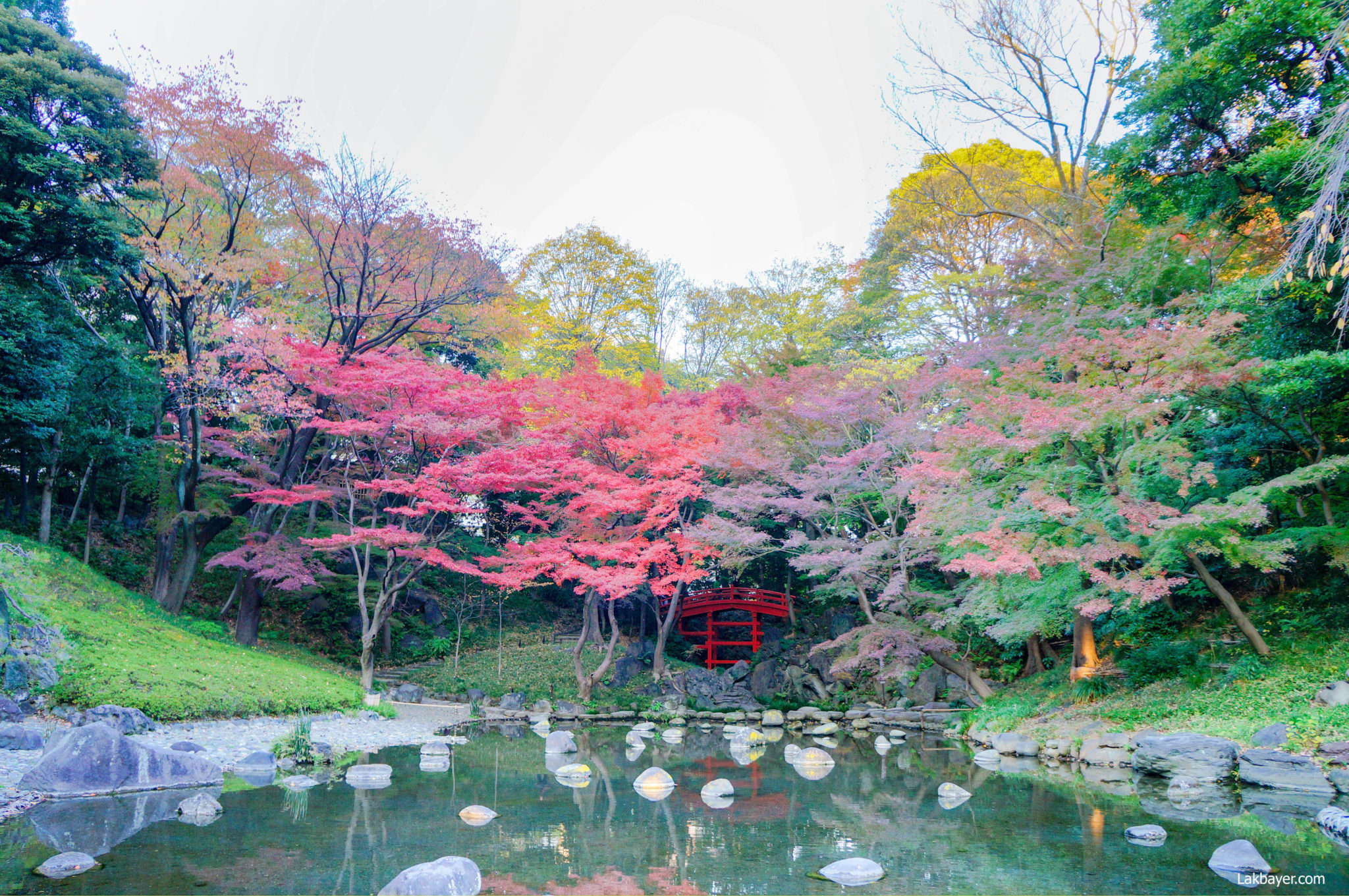Autumn 2013: Koishikawa Korakuen Gardens – Lakbayer