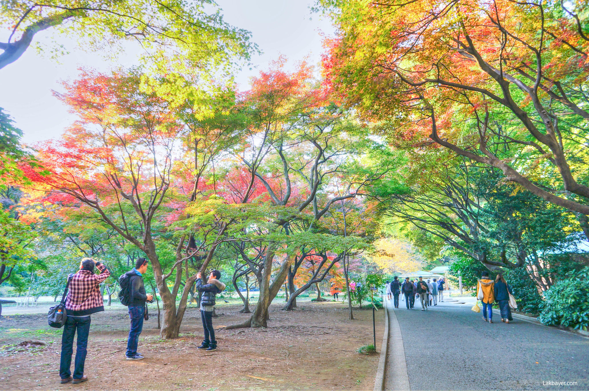 Autumn 2013: Shinjuku Gyoen National Garden – Lakbayer