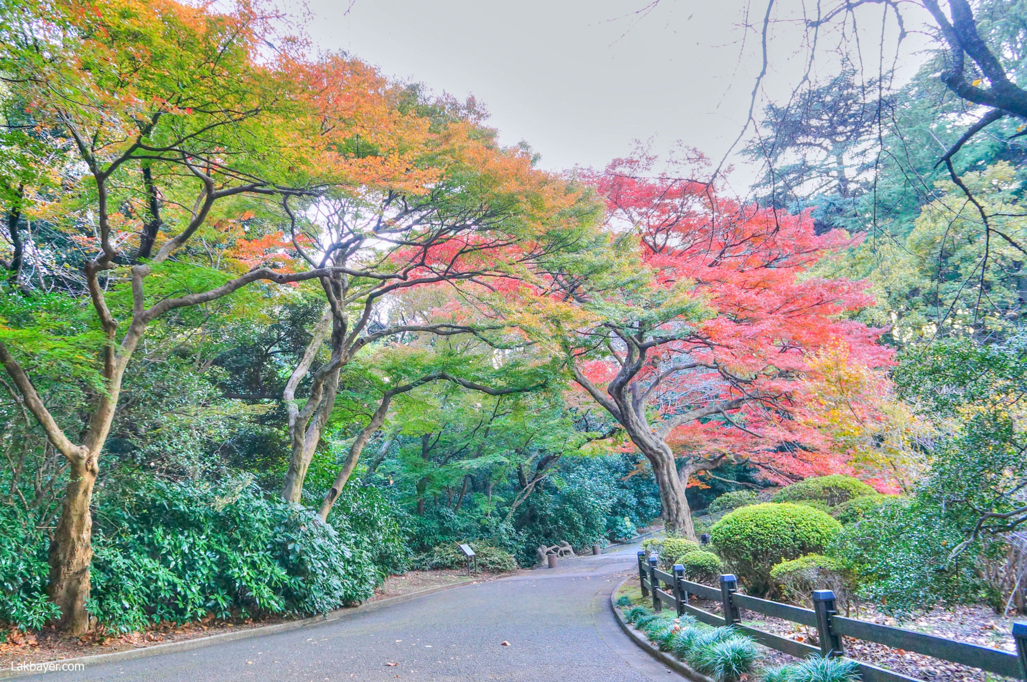 Autumn 2013: Shinjuku Gyoen National Garden – Lakbayer