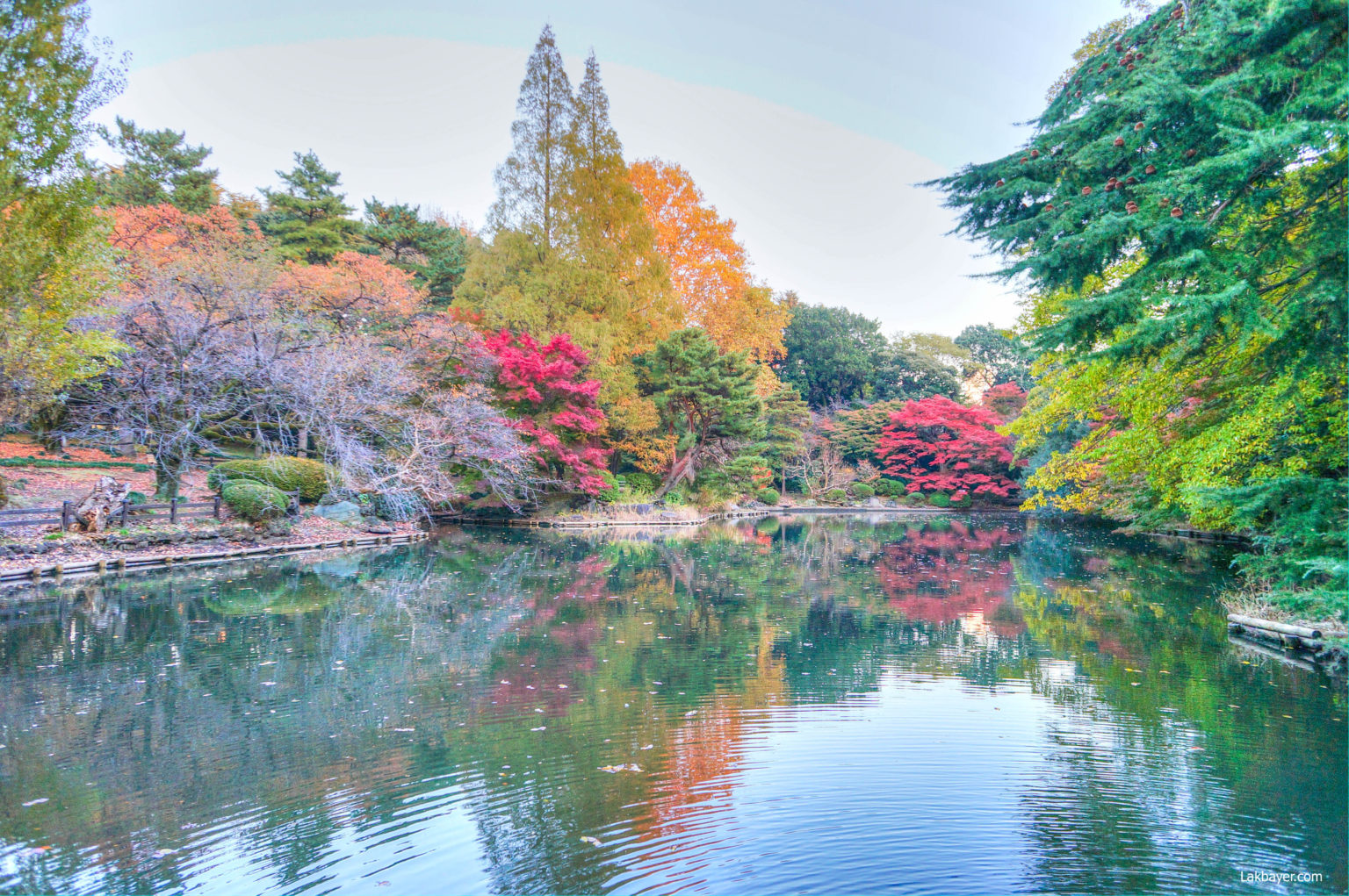 Autumn 2013: Shinjuku Gyoen National Garden – Lakbayer
