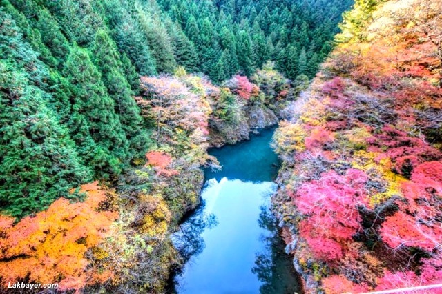 Autumn 2013: Okutama Autumn Hike – Mukashi-michi Route | Lakbayer