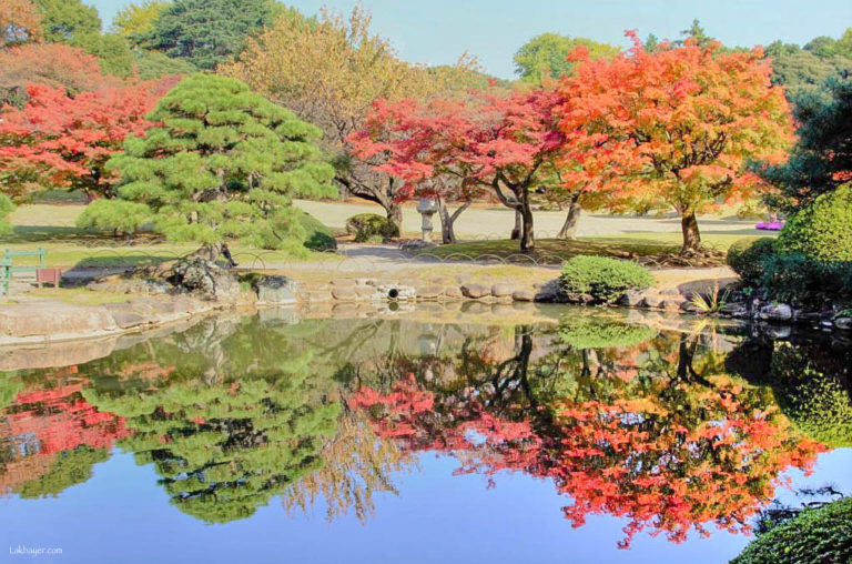 Autumn 2016: Shinjuku Gyoen – Lakbayer