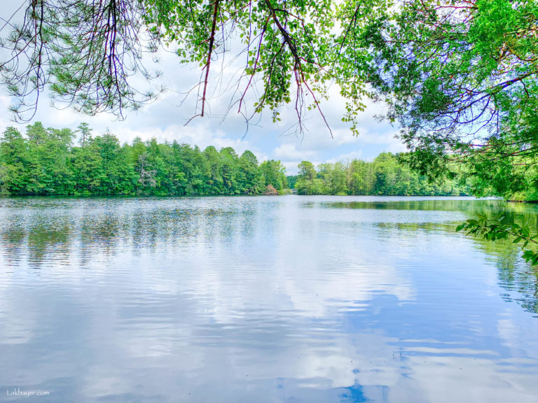 Summer Camping: Belleplain State Forest – Lakbayer