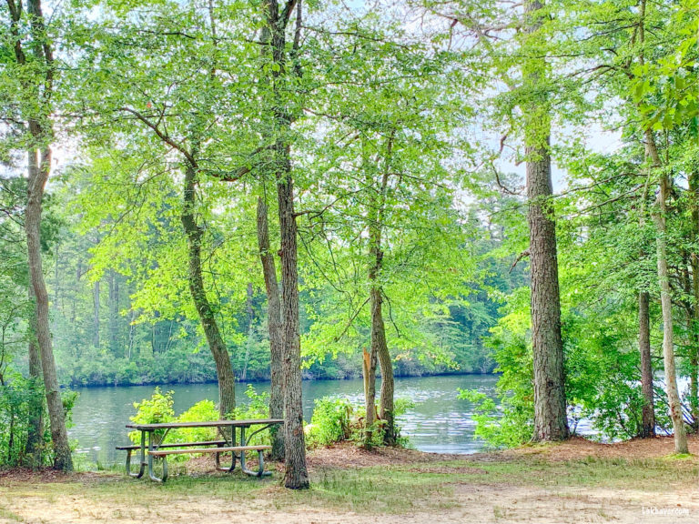 Summer Camping: Belleplain State Forest – Lakbayer