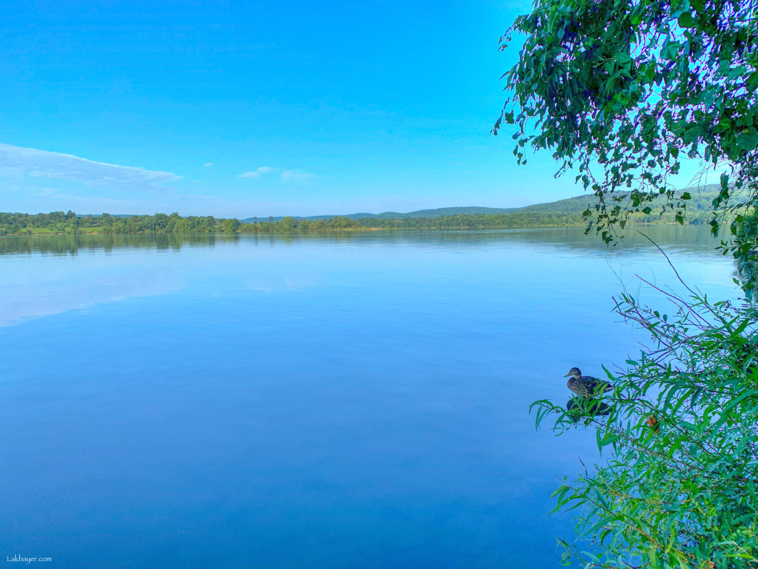 Summer Camping: Spruce Run Recreation Area – Lakbayer