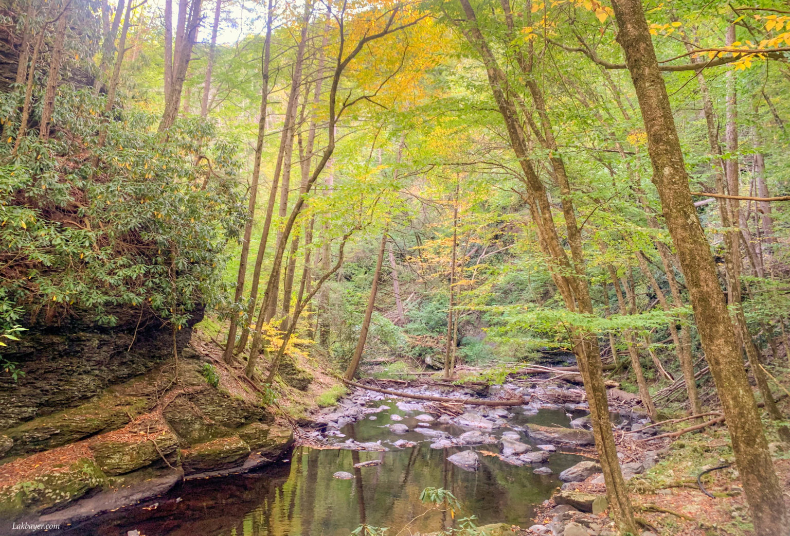 Autumn 2019: Hiking through the stunning colors of Bushkill Falls ...