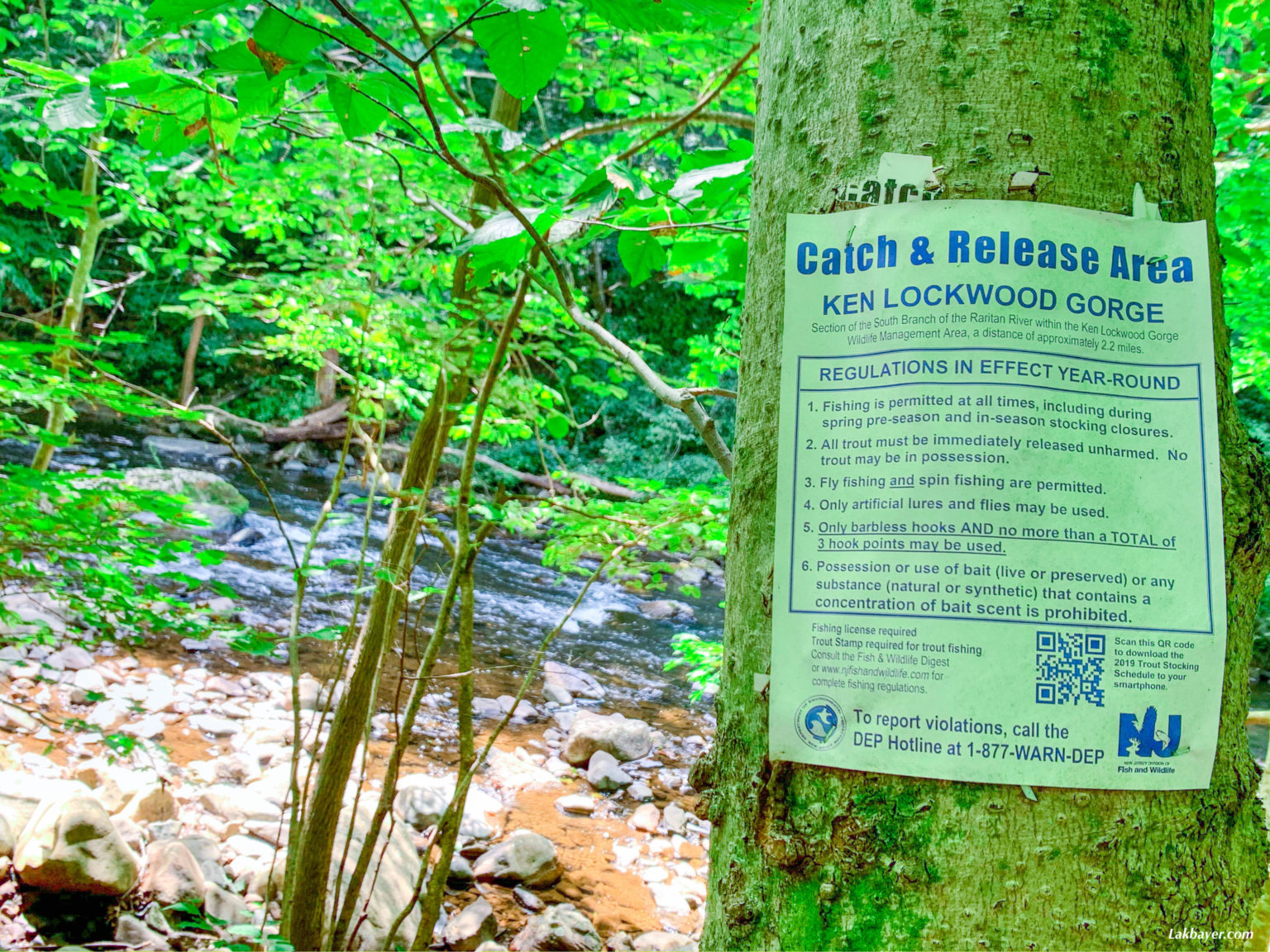 Hike: Ken Lockwood Gorge Trail – Lakbayer